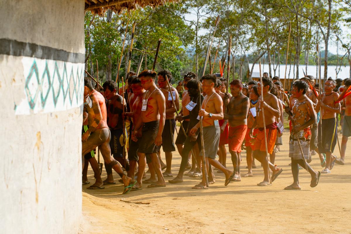 'Como a floresta vai se recuperar?' Yanomami e Ye'kwana apresentam ...